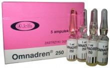 Omnadren 250 by Jelfa x 5 amps - 24hrpharmaUSA.com